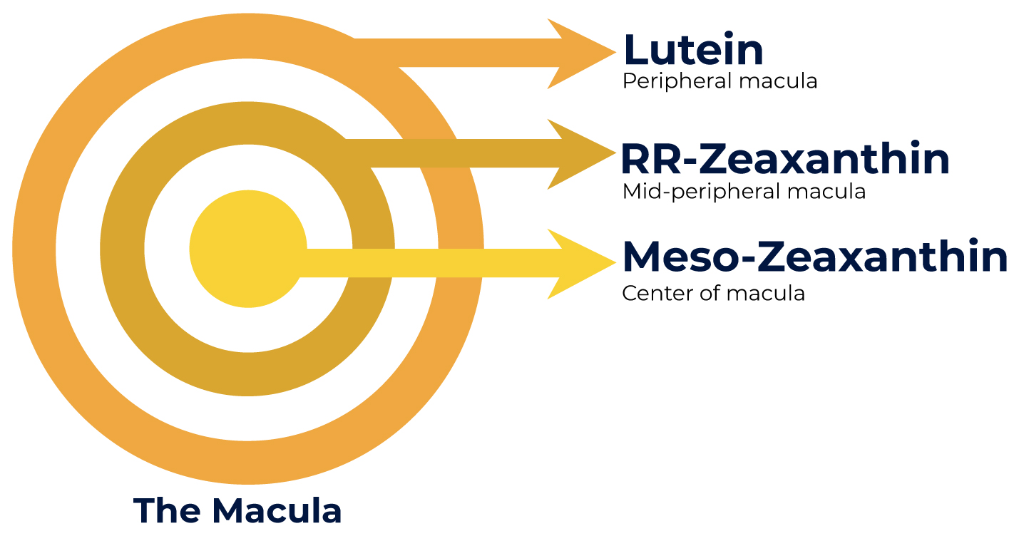 Nutrition and Carotenoids - Stauber Performance Ingredients