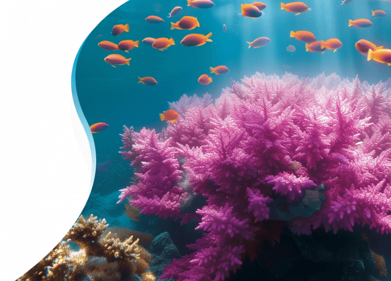 Aquamin® Marine Minerals | StauberUSA